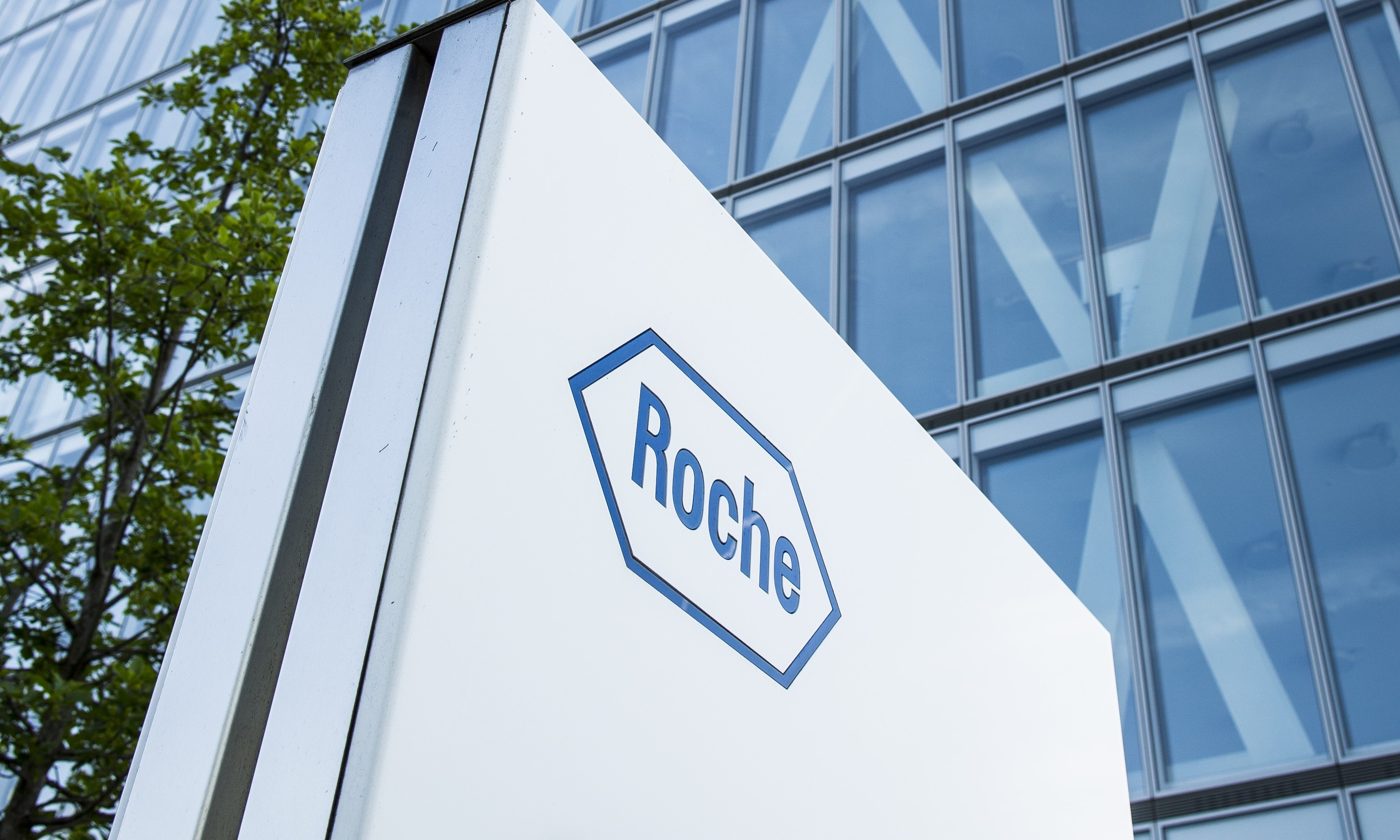 Bei Roche hellt sich das fundamentale Umfeld auf